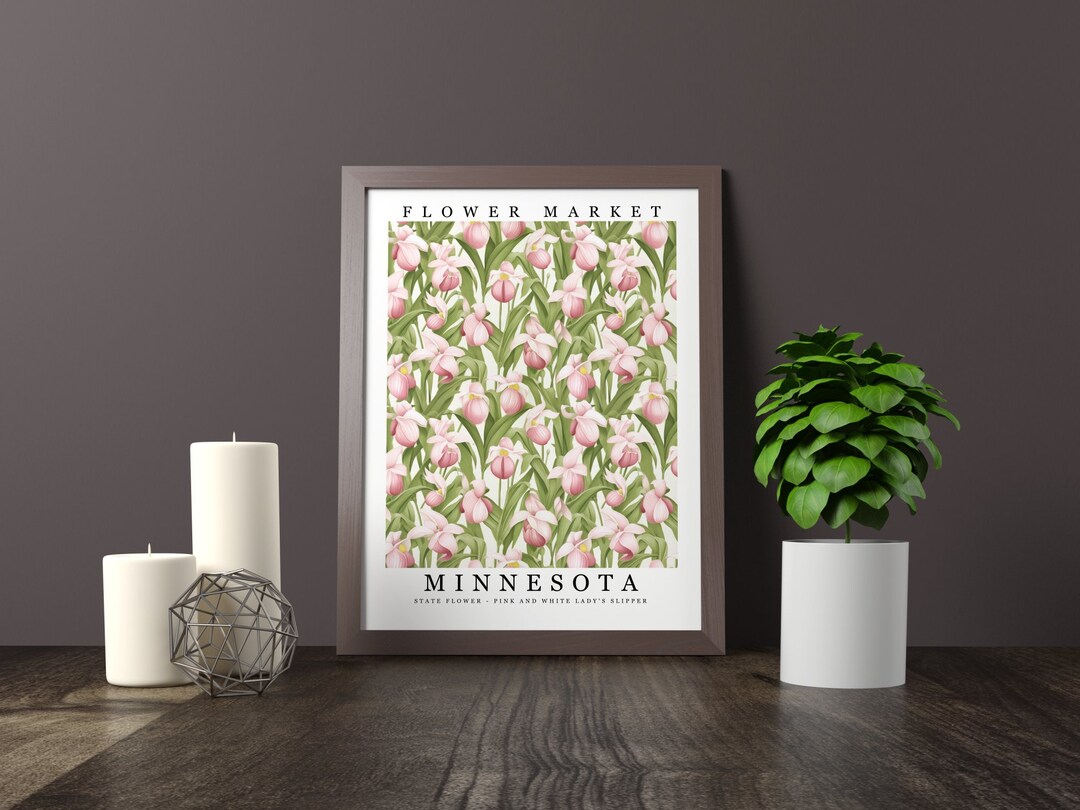 Minnesota State Flower - Pink and White Lady's Slipper Wall Art Print ...