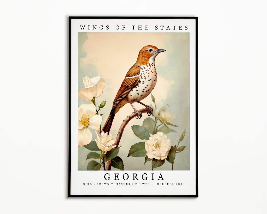 Georgia State Bird - Brown Thrasher and State Flower - Cherokee Rose ...
