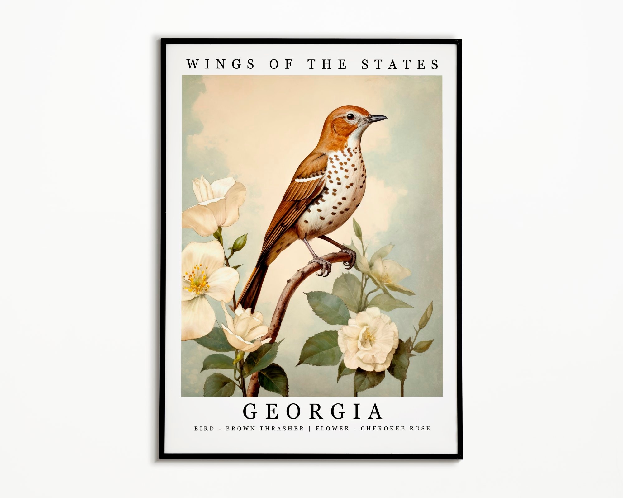 Georgia State Bird And Flower