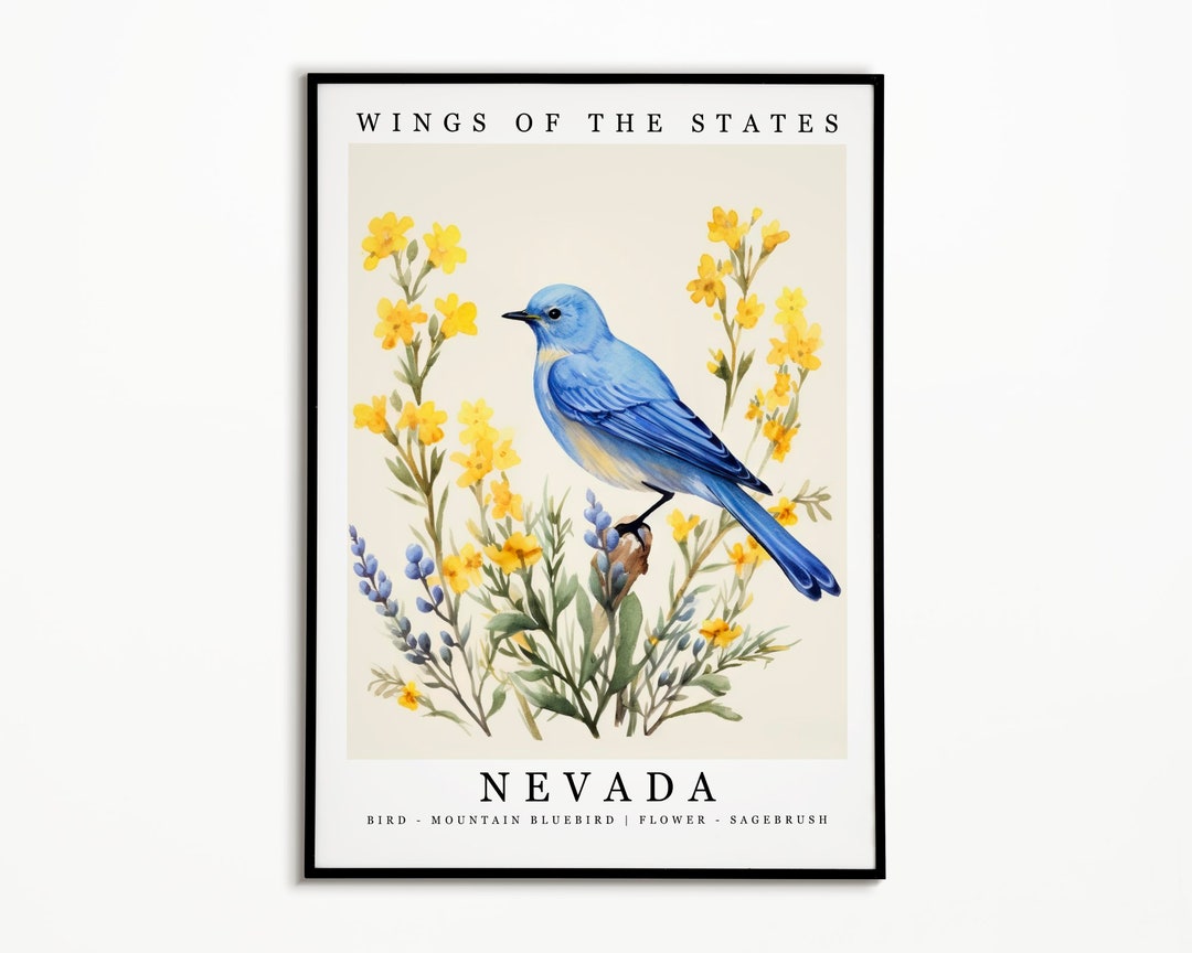 Nevada State Bird - Mountain Bluebird and State Flower - Sagebrush ...