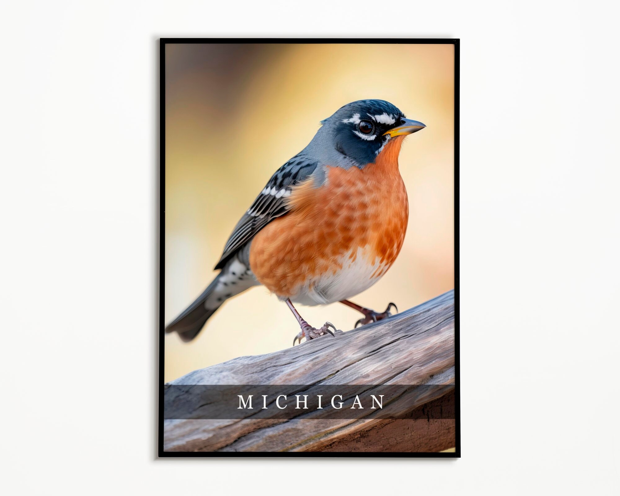 Michigan State Bird American Robin Photo Art Print State - Etsy