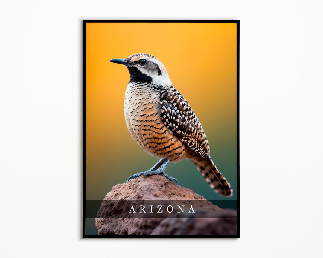 Arizona State Bird Cactus Wren Photo Art Print State Bird - Etsy