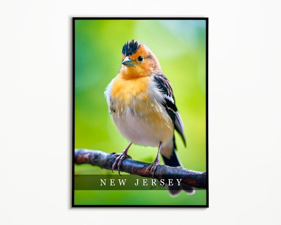 New Jersey State Bird Eastern Goldfinch Photo Art Print, State Bird ...