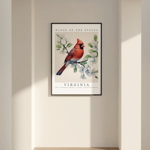 Virginia State Bird - Northern Cardinal and State Flower - American ...