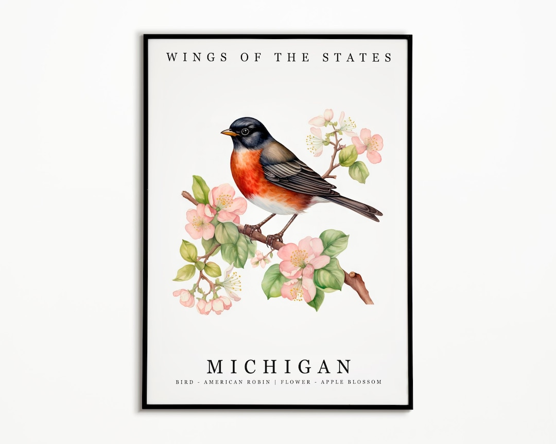 Michigan State Bird - American Robin and State Flower - Apple Blossom ...