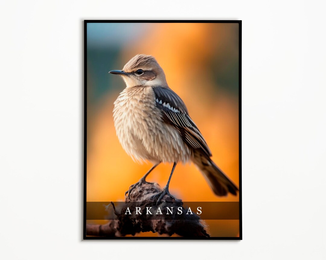 Arkansas State Bird Northern Mockingbird Photo Art Print, State Bird ...