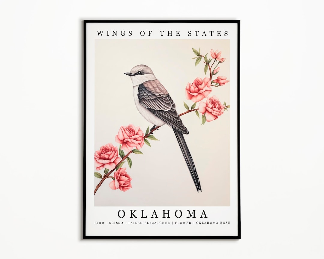 Oklahoma State Bird - Scissor-tailed Flycatcher and State Flower ...