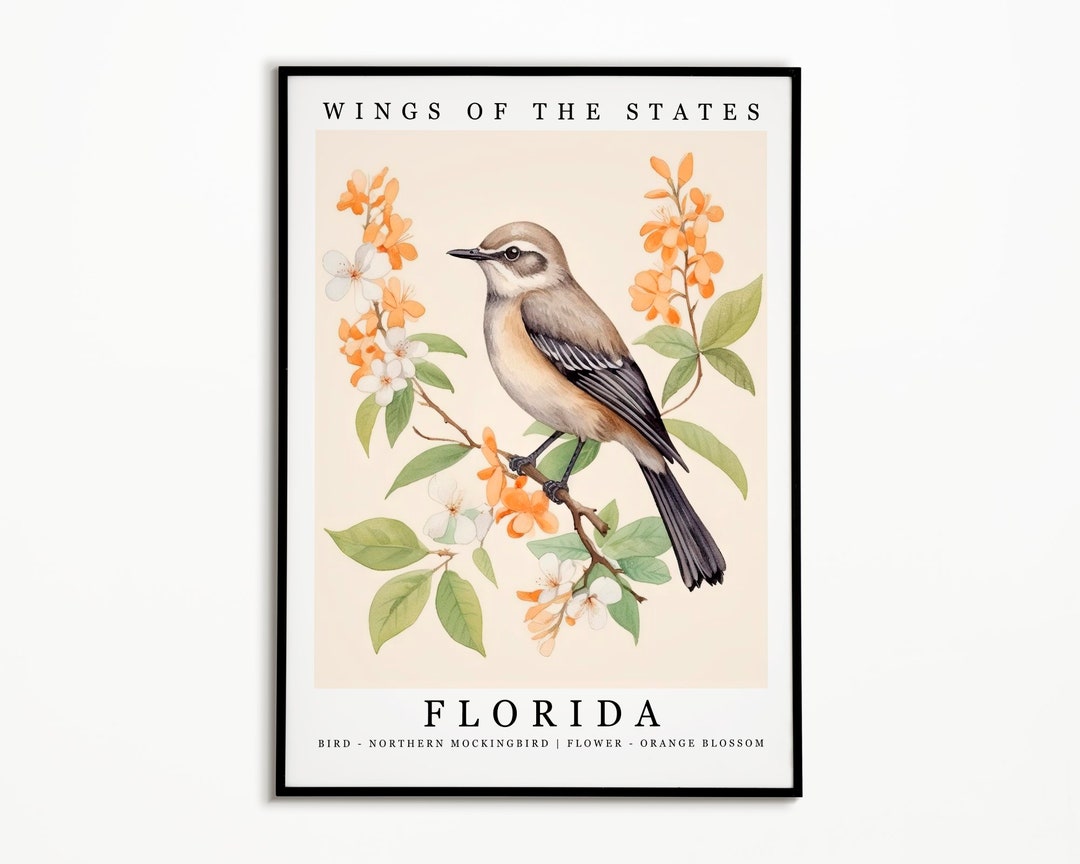 Florida State Bird - Northern Mockingbird and State Flower - Orange ...