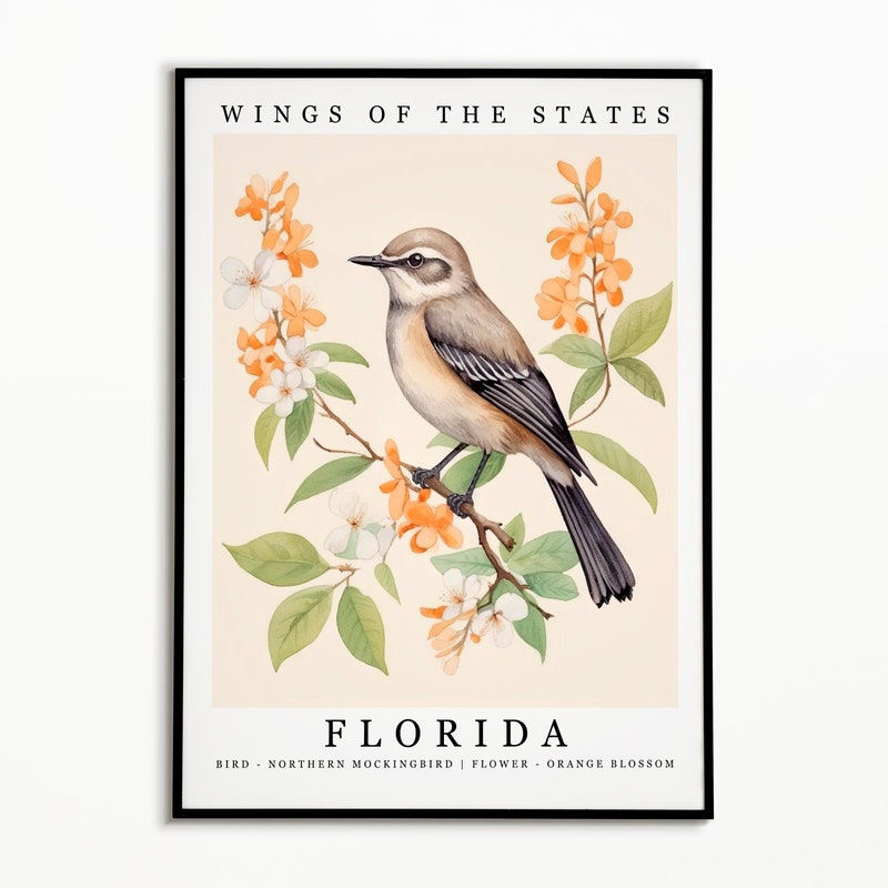 Florida Bird Art - Etsy