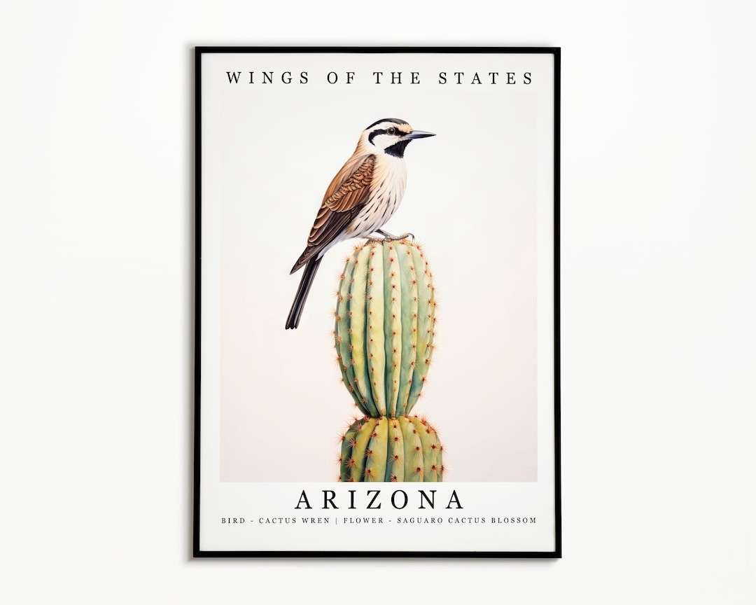 Arizona State Bird - Cactus Wren and State Flower - Saguaro Cactus ...