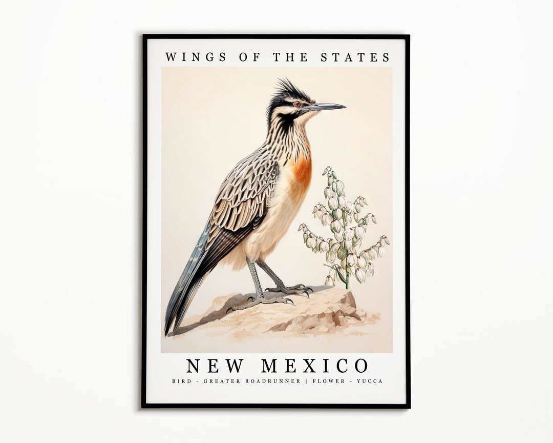 New Mexico State Bird - Greater Roadrunner and State Flower - Yucca ...