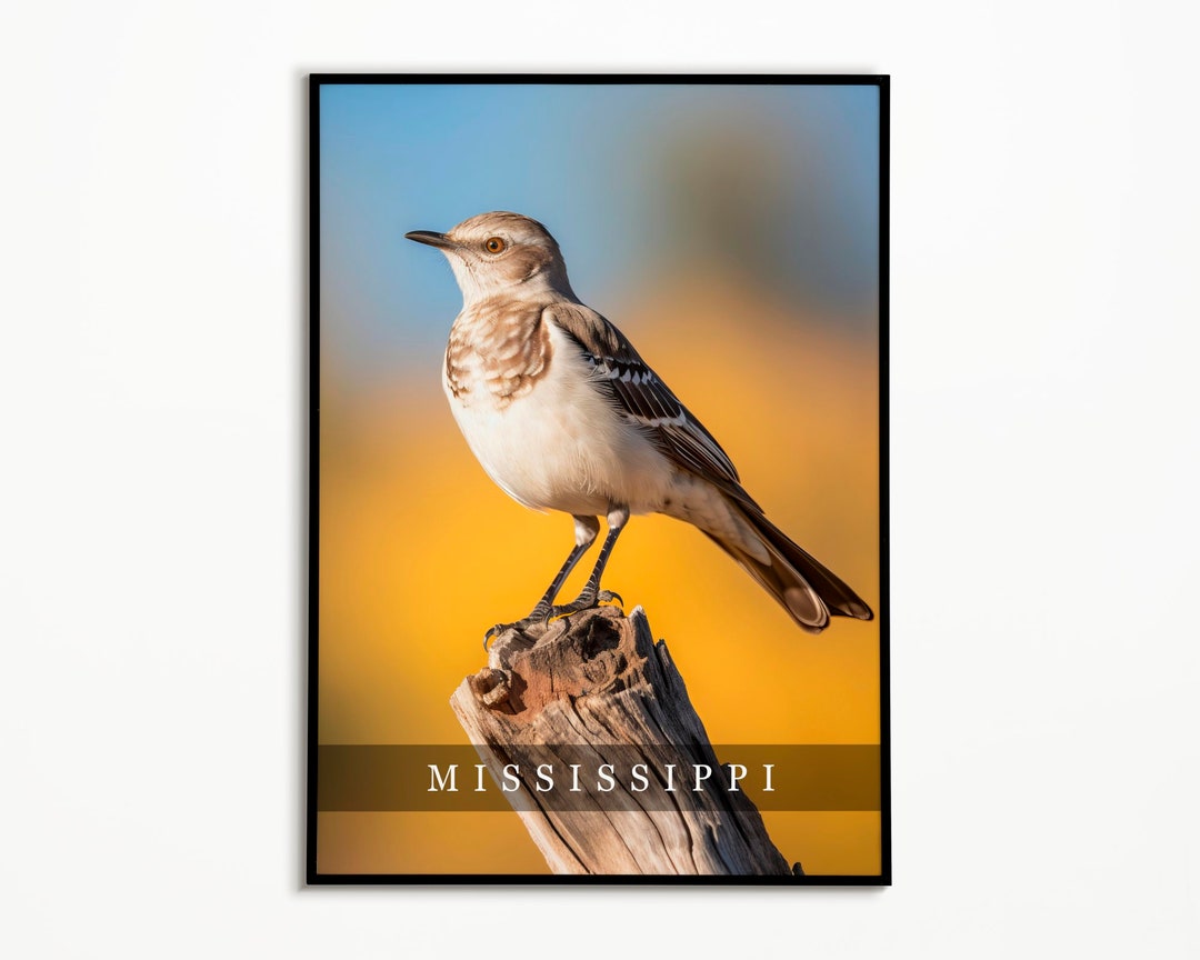 Mississippi State Bird Northern Mockingbird Photo Art Print, State Bird ...