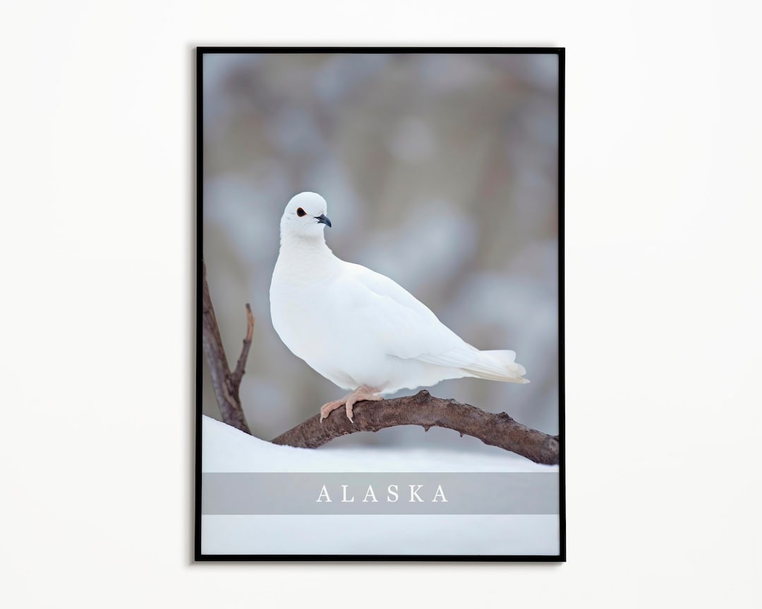 Alaska State Bird Willow Ptarmigan Photo Art Print State - Etsy