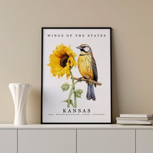 Kansas State Bird - Western Meadowlark and State Flower - Sunflower ...