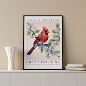North Carolina State Bird - Northern Cardinal and State Flower ...