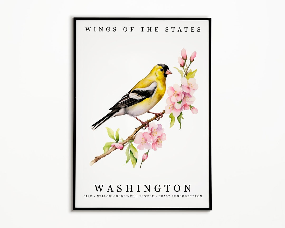 Washington State Bird - Willow Goldfinch and State Flower - Coast ...