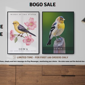 Iowa State Bird - Eastern Goldfinch and State Flower - Wild Rose ...