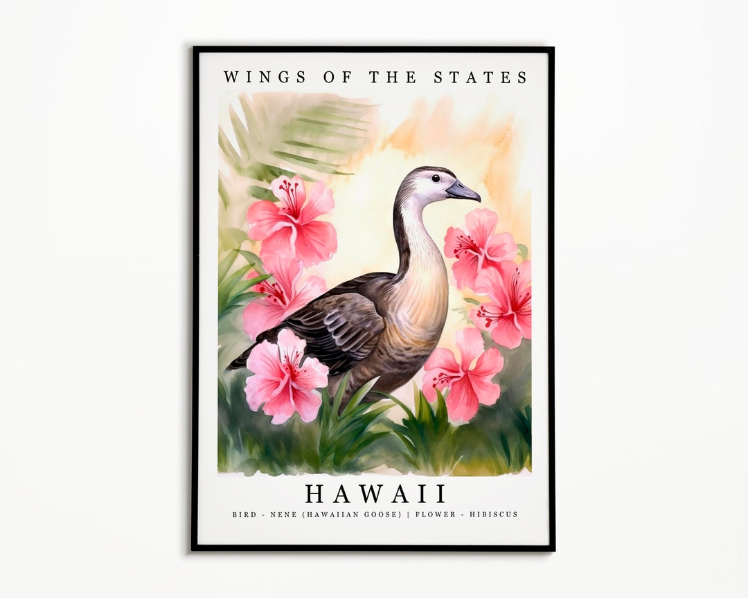 Hawaii State Bird - Nene (hawaiian Goose) and State Flower - Hibiscus ...