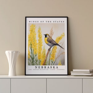Nebraska State Bird - Western Meadowlark and State Flower - Goldenrod ...