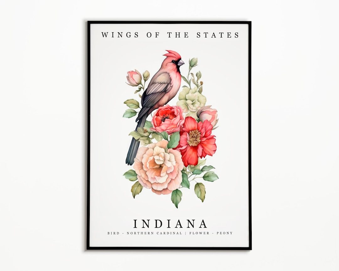 Indiana State Bird - Northern Cardinal and State Flower - Peony ...
