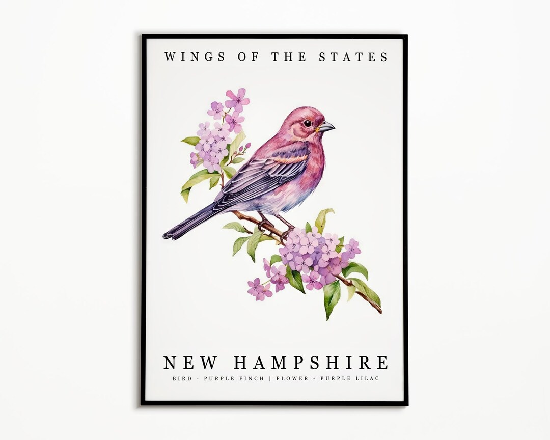 New Hampshire State Bird - Purple Finch and State Flower - Purple Lilac ...