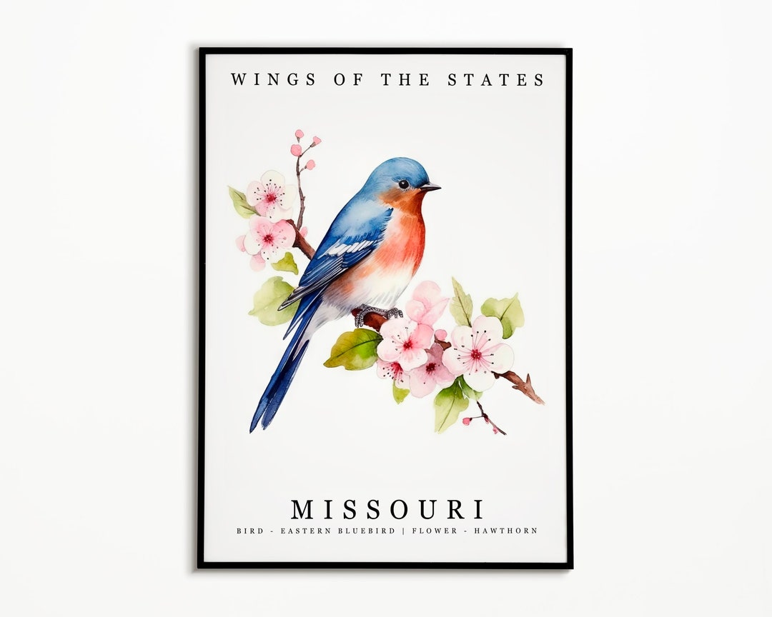 Missouri State Bird - Eastern Bluebird and State Flower - Hawthorn ...