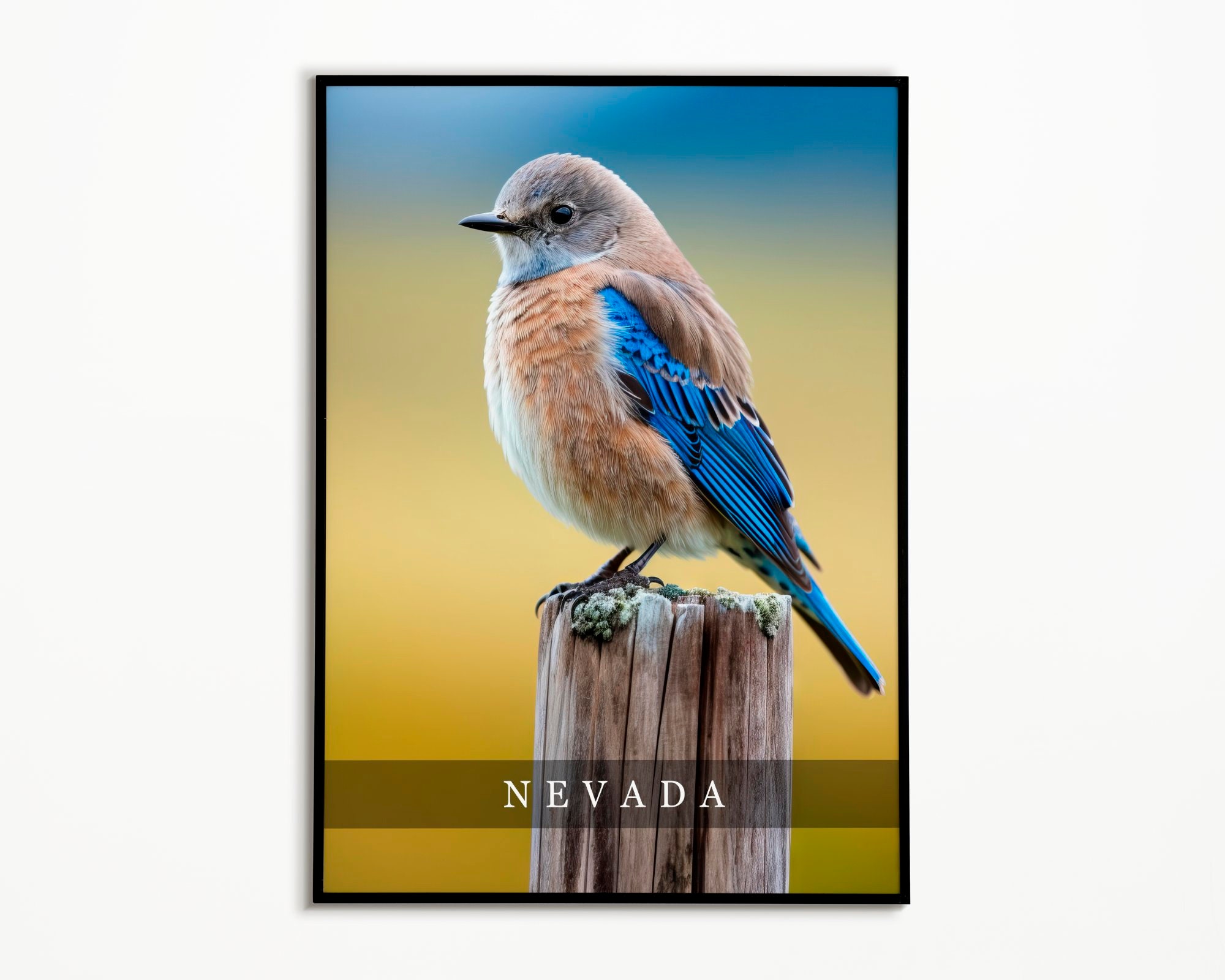 Nevada State Bird Mountain Bluebird Photo Art Print State - Etsy
