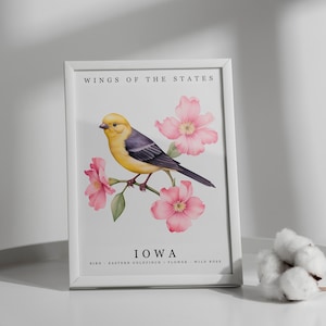 Iowa State Bird - Eastern Goldfinch and State Flower - Wild Rose ...