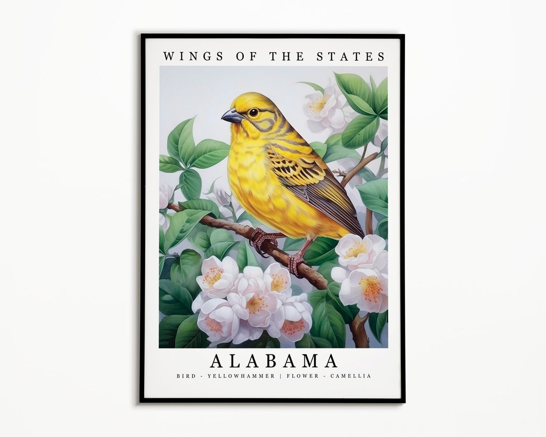Alabama State Bird - Yellowhammer and State Flower - Camellia ...