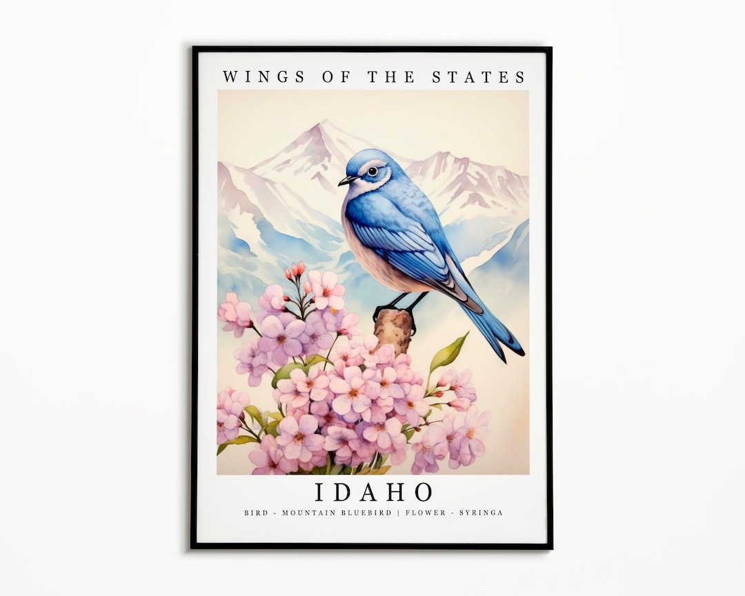 Idaho State Bird - Mountain Bluebird and State Flower - Syringa ...