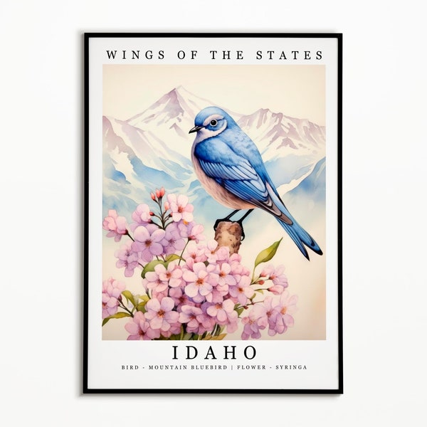 Mountain Bluebird - Etsy