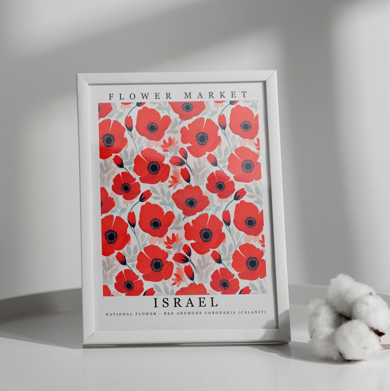 Israel National Flower - Red Anemone Coronaria Wall Art Print Flower ...