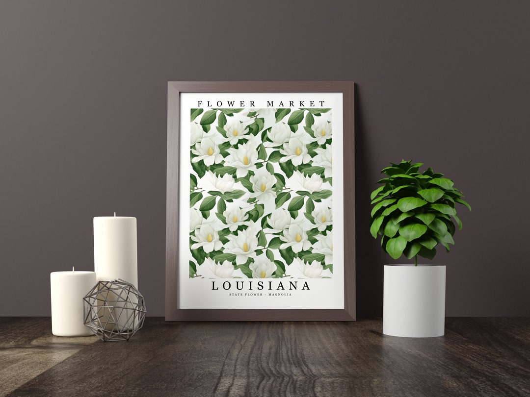 Louisiana State Flower - Magnolia Wall Art Print Flower Market Poster ...