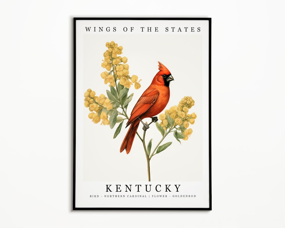 Kentucky State Bird - Northern Cardinal and State Flower - Goldenrod ...