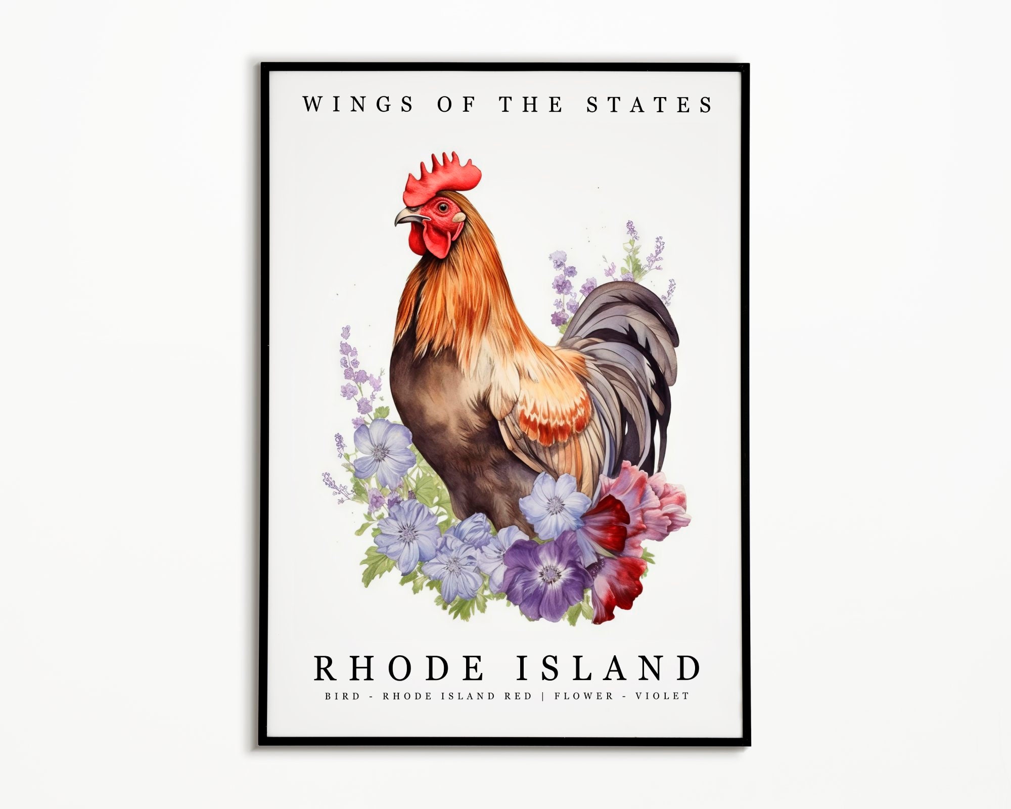 Rhode Island State Bird Rhode Island Red and State Flower - Etsy