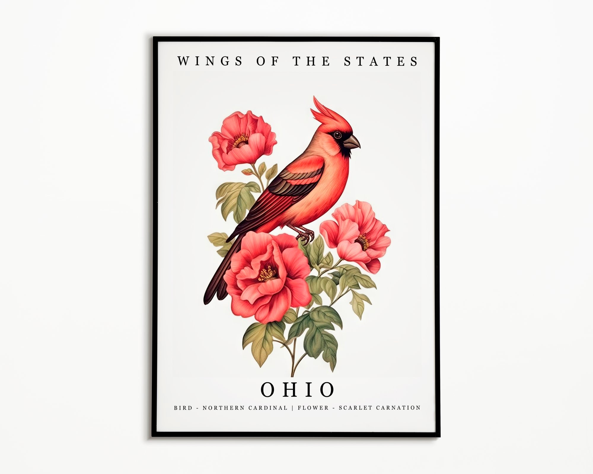 Ohio State Bird Northern Cardinal and State Flower Scarlet - Etsy