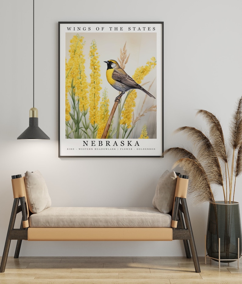 Nebraska State Bird - Western Meadowlark and State Flower - Goldenrod ...