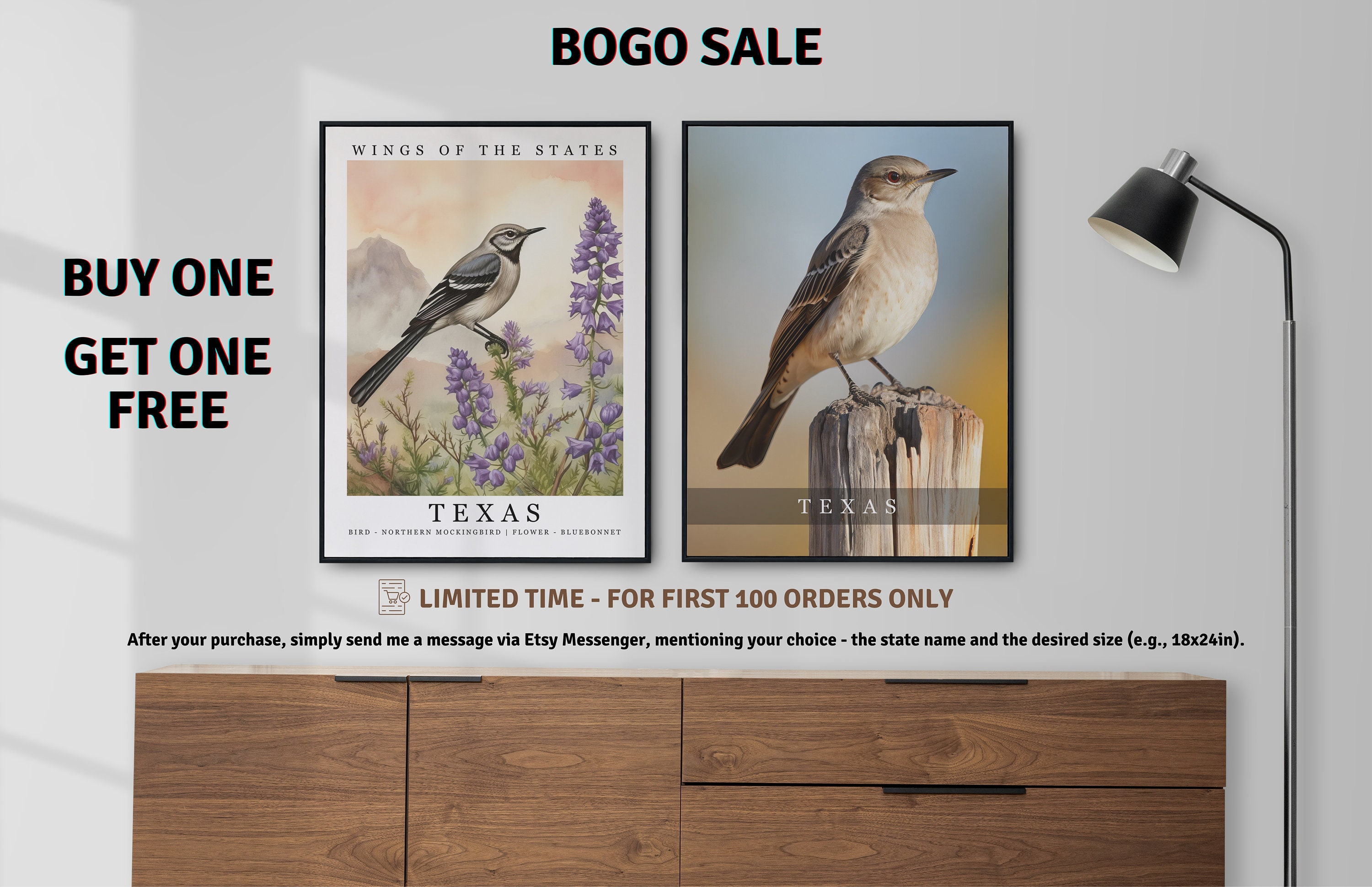 Texas State Bird - Northern Mockingbird and State Flower - Bluebonnet ...