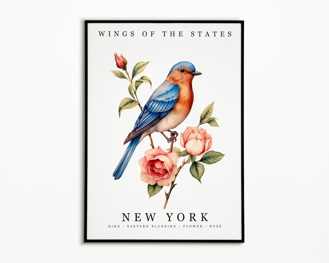 New York State Bird - Eastern Bluebird and State Flower - Rose ...