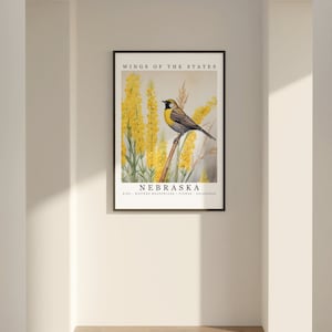 Nebraska State Bird - Western Meadowlark and State Flower - Goldenrod ...