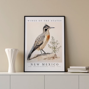 New Mexico State Bird - Greater Roadrunner and State Flower - Yucca ...