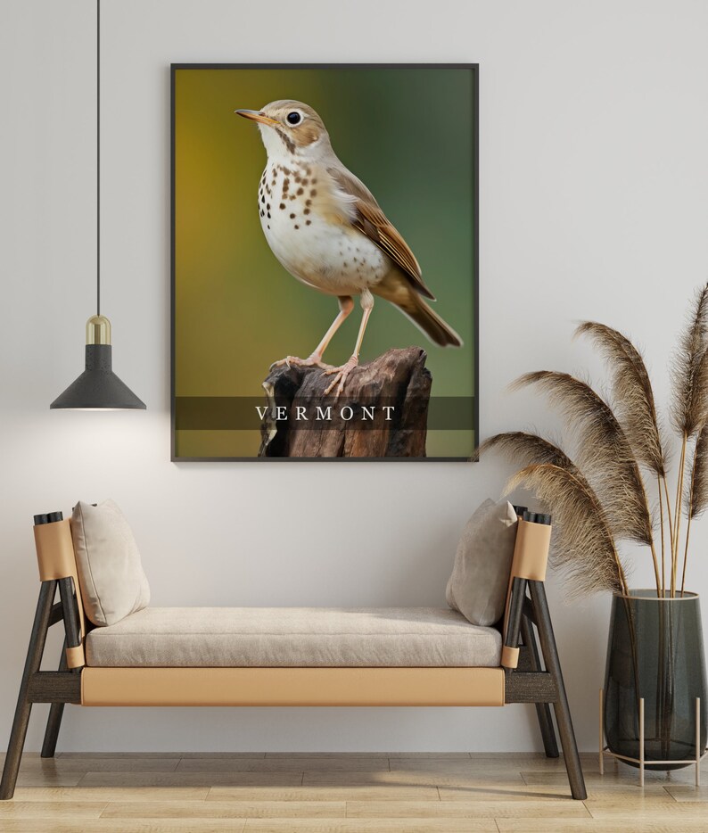 Vermont State Bird Hermit Thrush Photo Art Print State Bird - Etsy