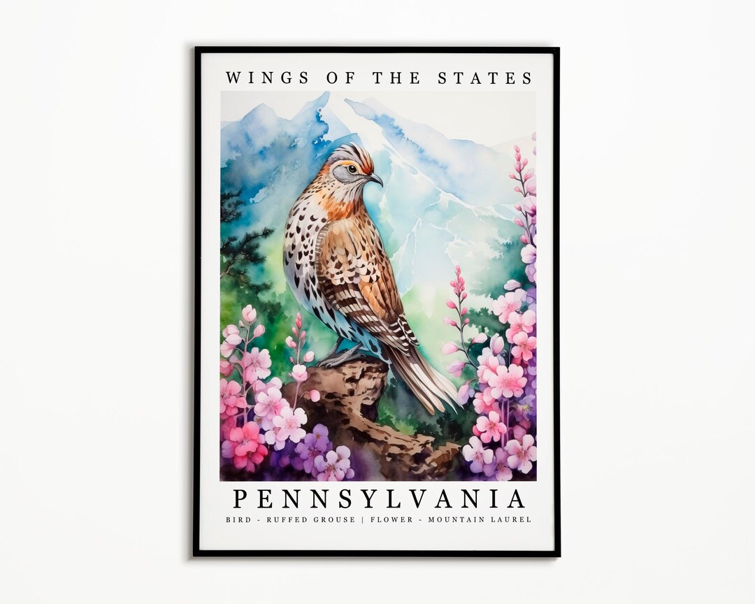 Pennsylvania State Bird - Ruffed Grouse and State Flower - Mountain ...