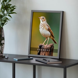 Vermont State Bird Hermit Thrush Photo Art Print, State Bird Poster ...
