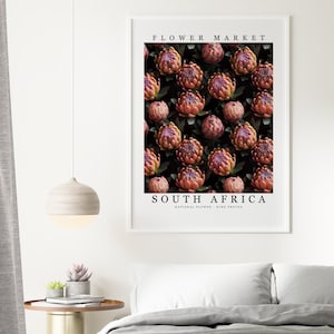 South Africa National Flower - King Protea Wall Art Print Flower Market ...