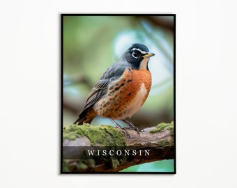 Iowa State Bird Eastern Goldfinch and State Flower Wild - Etsy