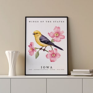 Iowa State Bird - Eastern Goldfinch and State Flower - Wild Rose ...