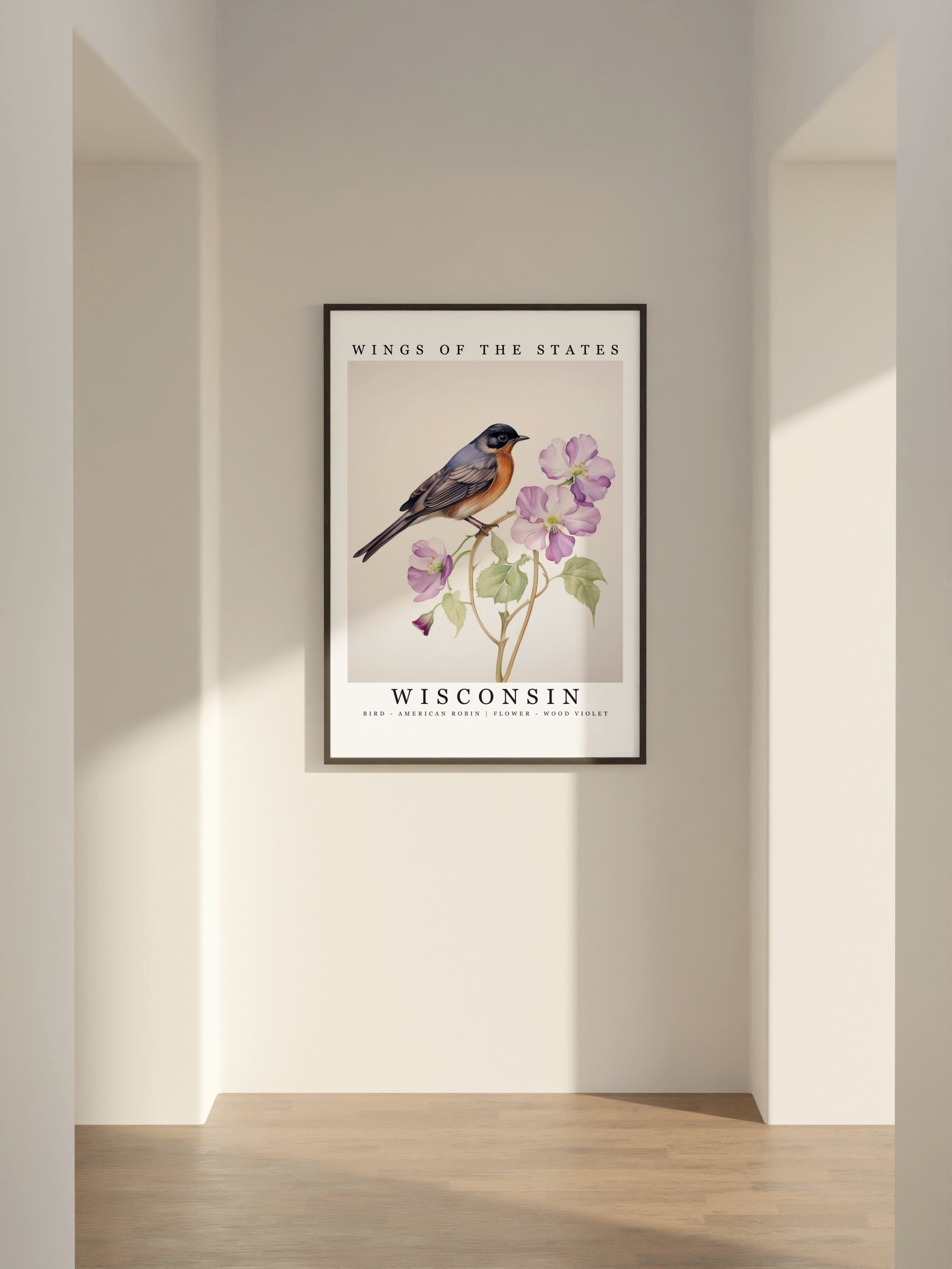 Wisconsin State Bird - American Robin and State Flower - Wood Violet ...