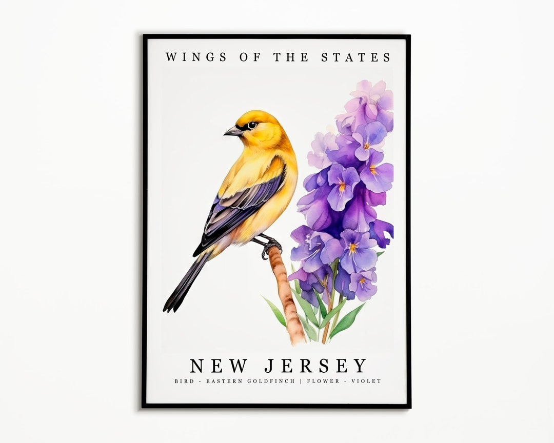 New Jersey State Bird - Eastern Goldfinch and State Flower - Violet ...