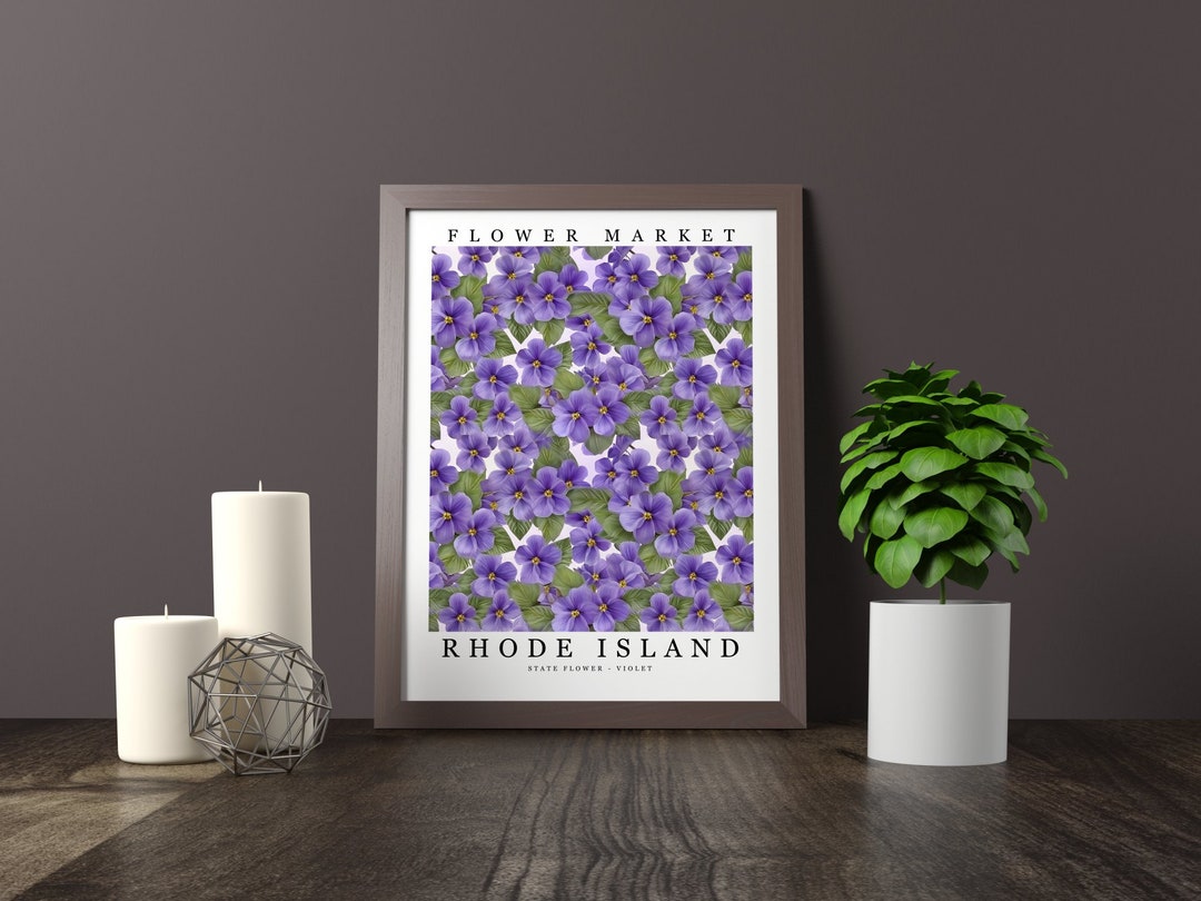 Rhode Island State Flower - Violet Wall Art Print Flower Market Poster ...